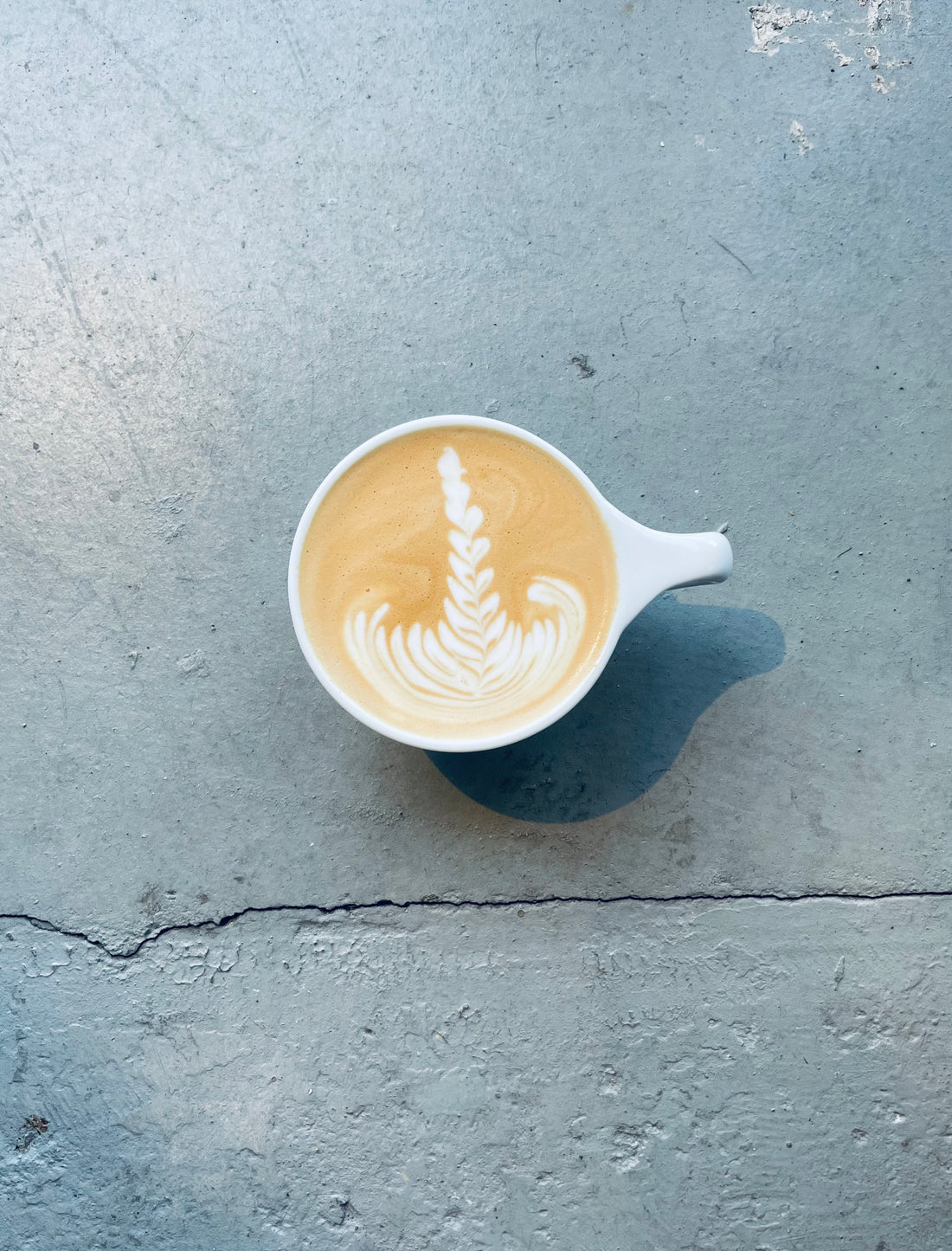 EDIT COFFEE ROASTERY – EDIT COFFEE ROASTERY ONLINESHOP